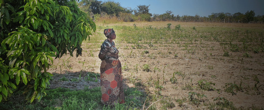 CARE Australia: Give Now to Save Lives and Fight Poverty